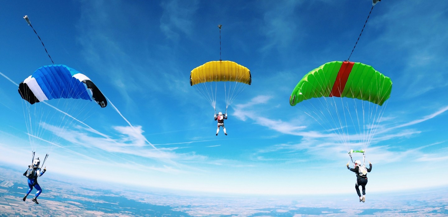 What color is my parachute? The flower petal exercise – Hannah Swain Løvik